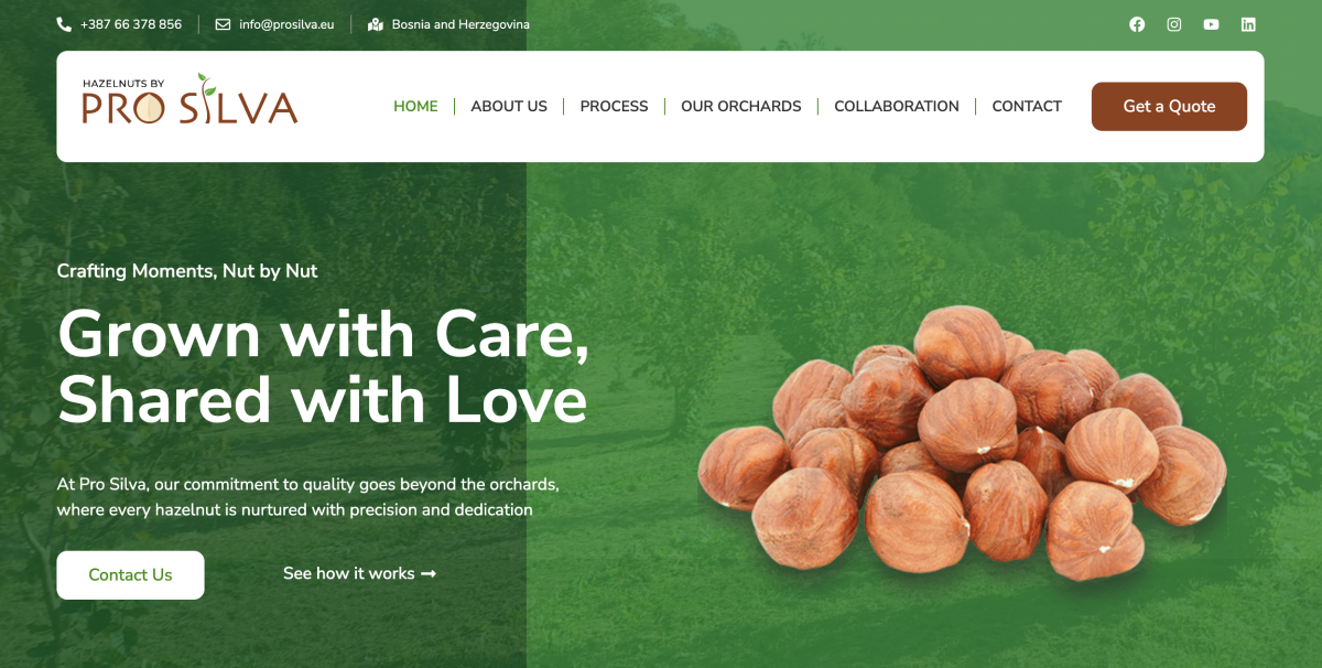 Pro Silva D O O Hazelnuts By Pro Silva